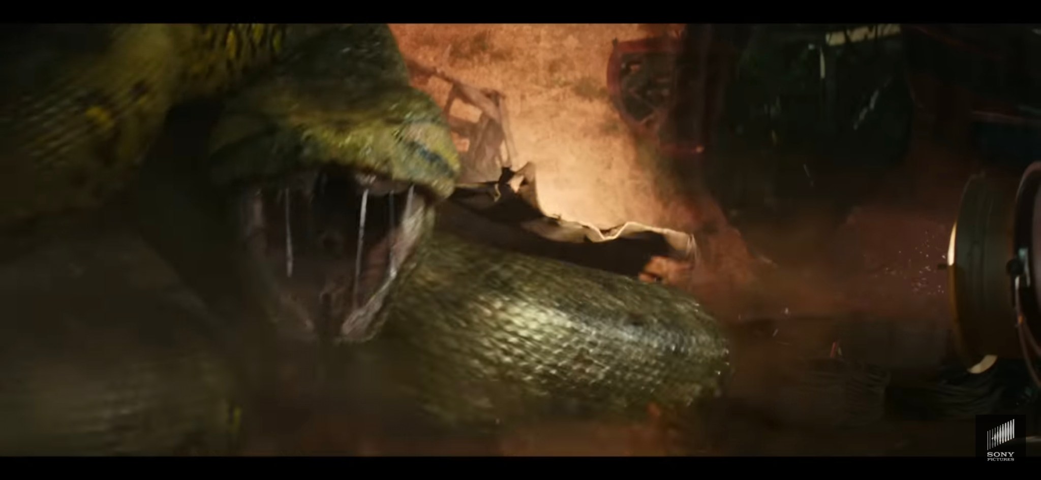 Anaconda – BigAl Reviews